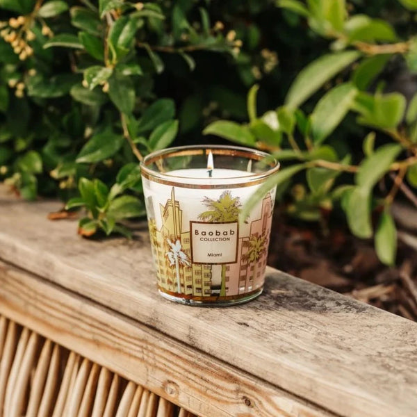 Baobab MF Miami Scented Candle (Aquatic) – House of AnLi